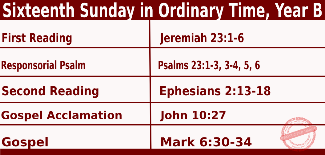Sunday Mass Readings for July 21 2024, 16th Sunday in Ordinary Time Year B