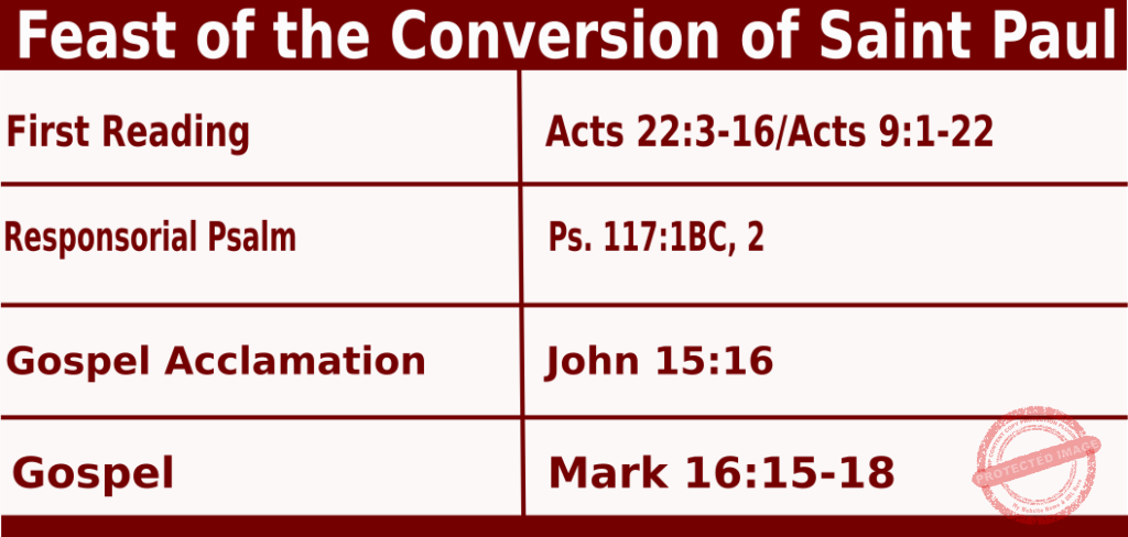 Daily Mass Readings for January 25 2024, Feast of the Conversion of ...